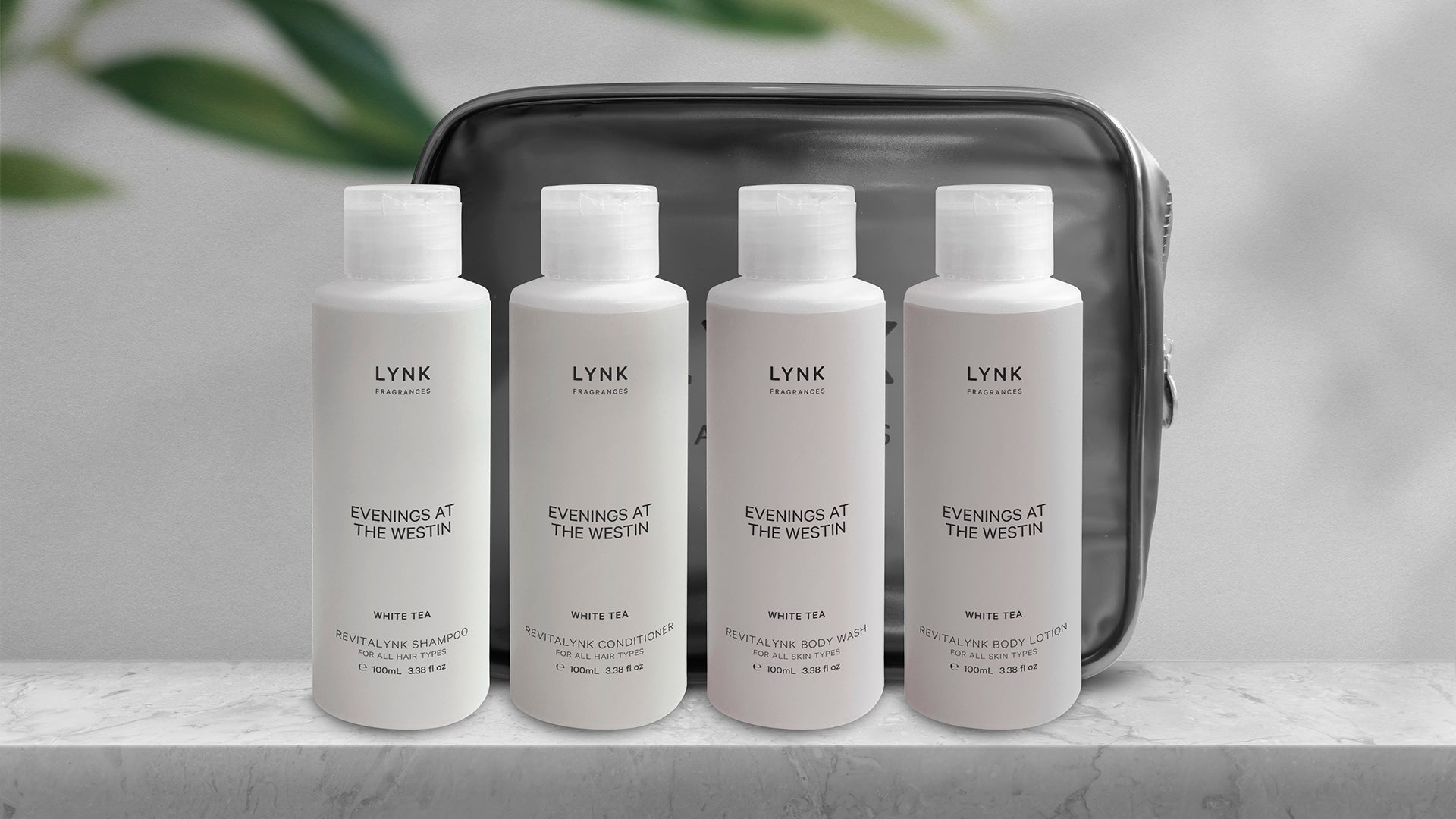 Lynk Artisan Candles Singapore | Organic Natural Scented Candle – Lynk Fragrances